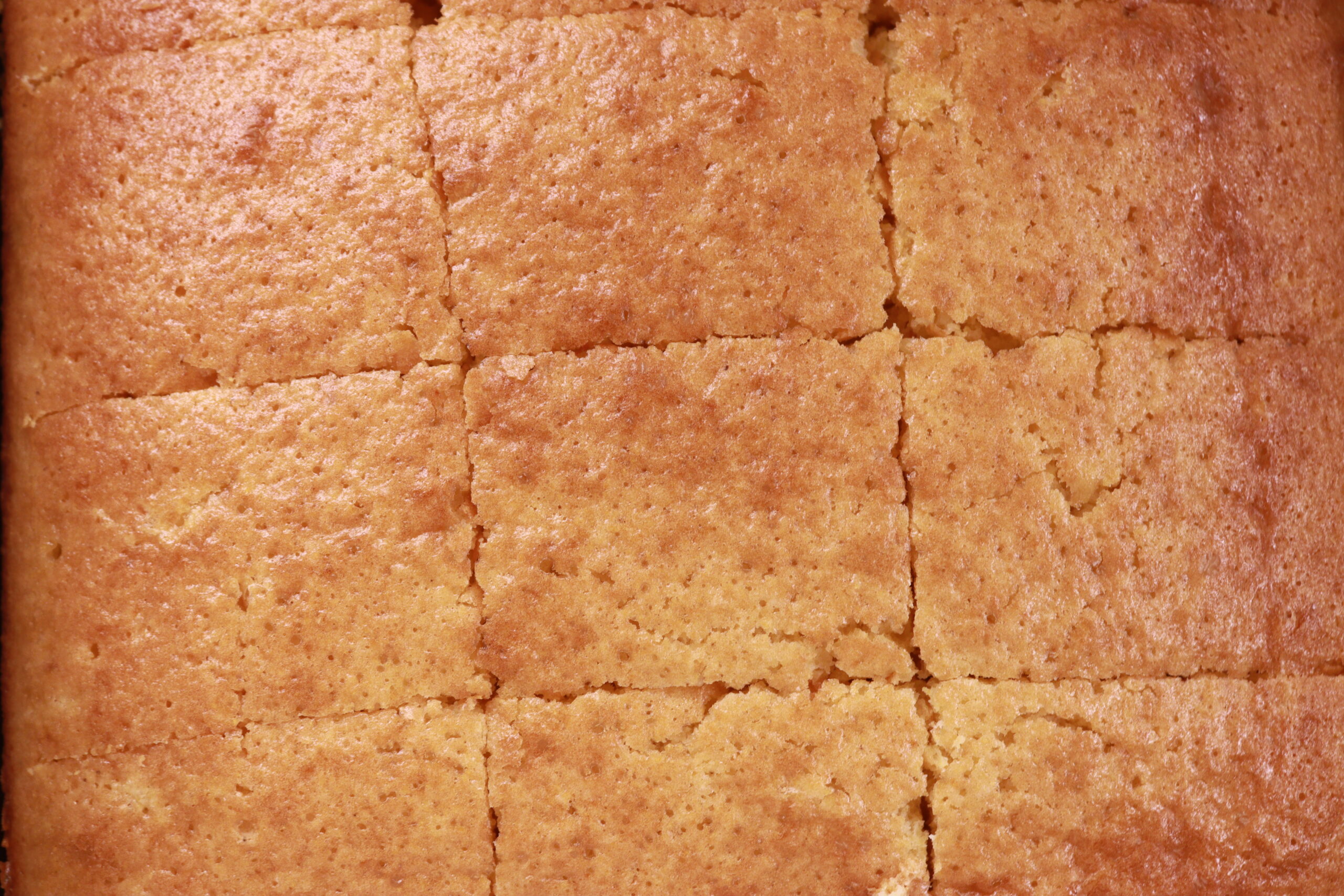 Honey Be Mine Cornbread - VeryVera Cooking Camp